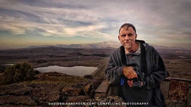 Dave Bender, Author at Israel365 News