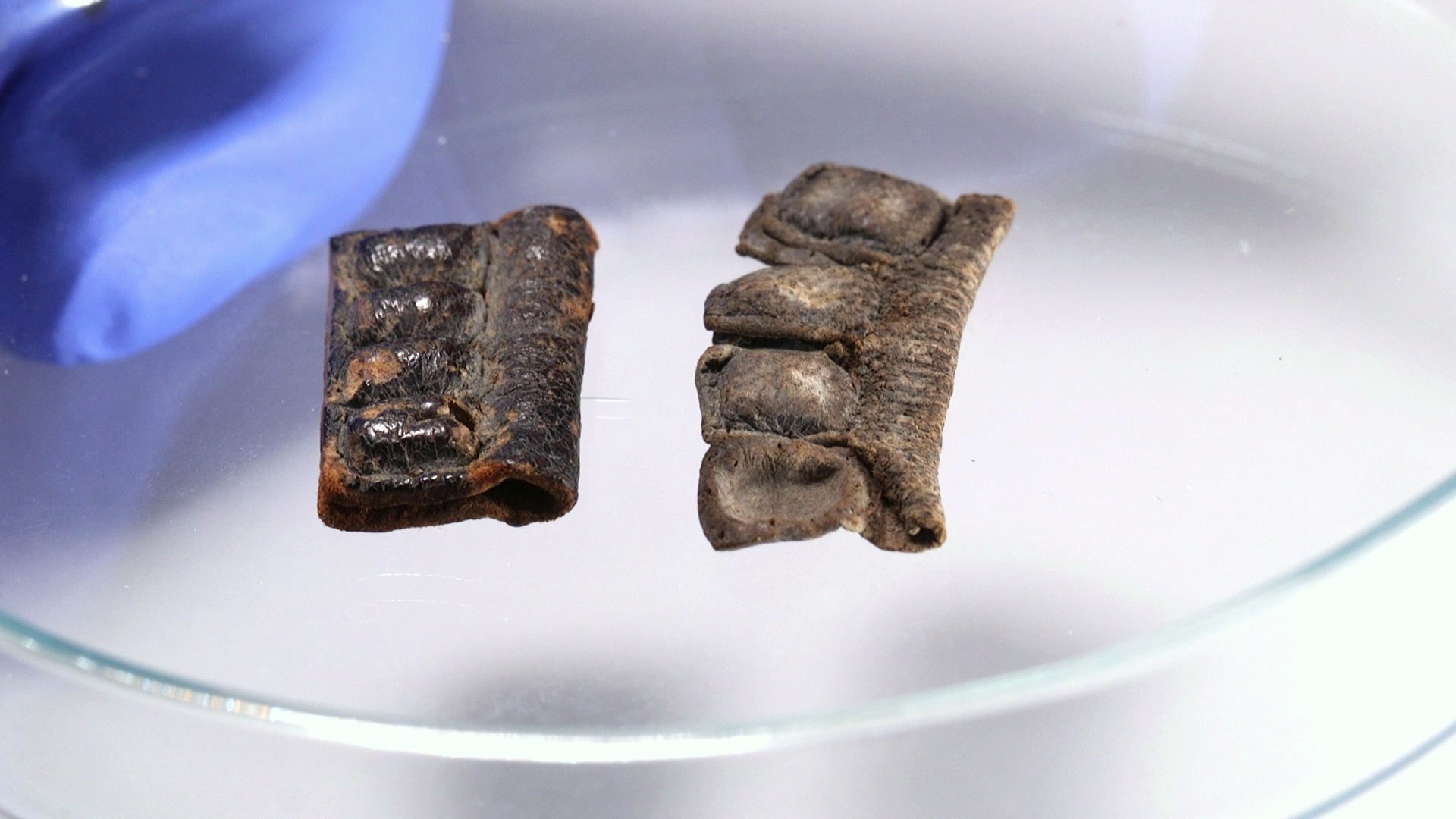 New Study Reveals: Tefillin (Phylacteries) Were Not Colored Black 2,000 ...