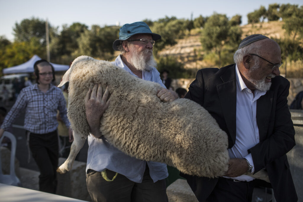 For the First Time in 2,000 Years: Lamb Brought to Temple Mount for ...