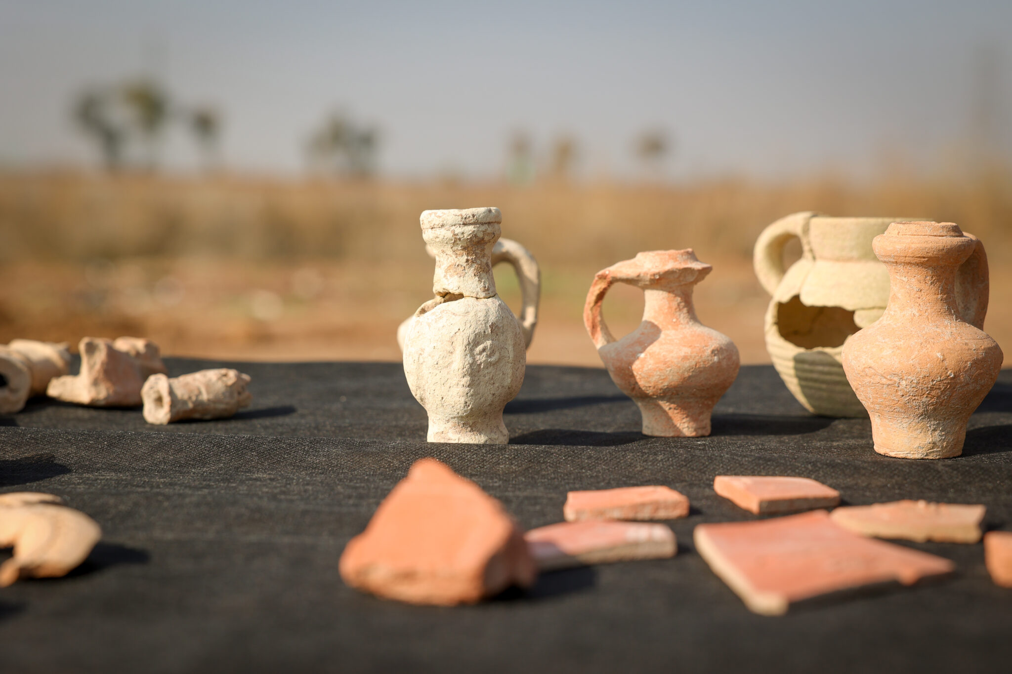 From Battleground to Holy Ground: How Archaeology Proves Israel’s ...