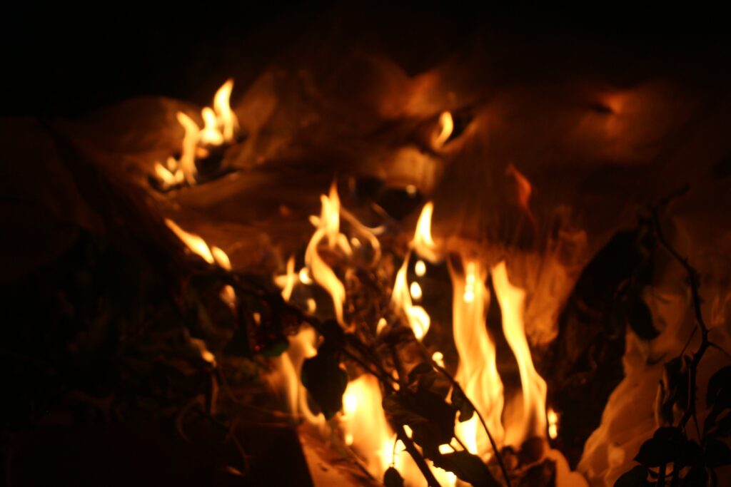 Mississippi’s largest synagogue destroyed in arson attack - Israel365 News