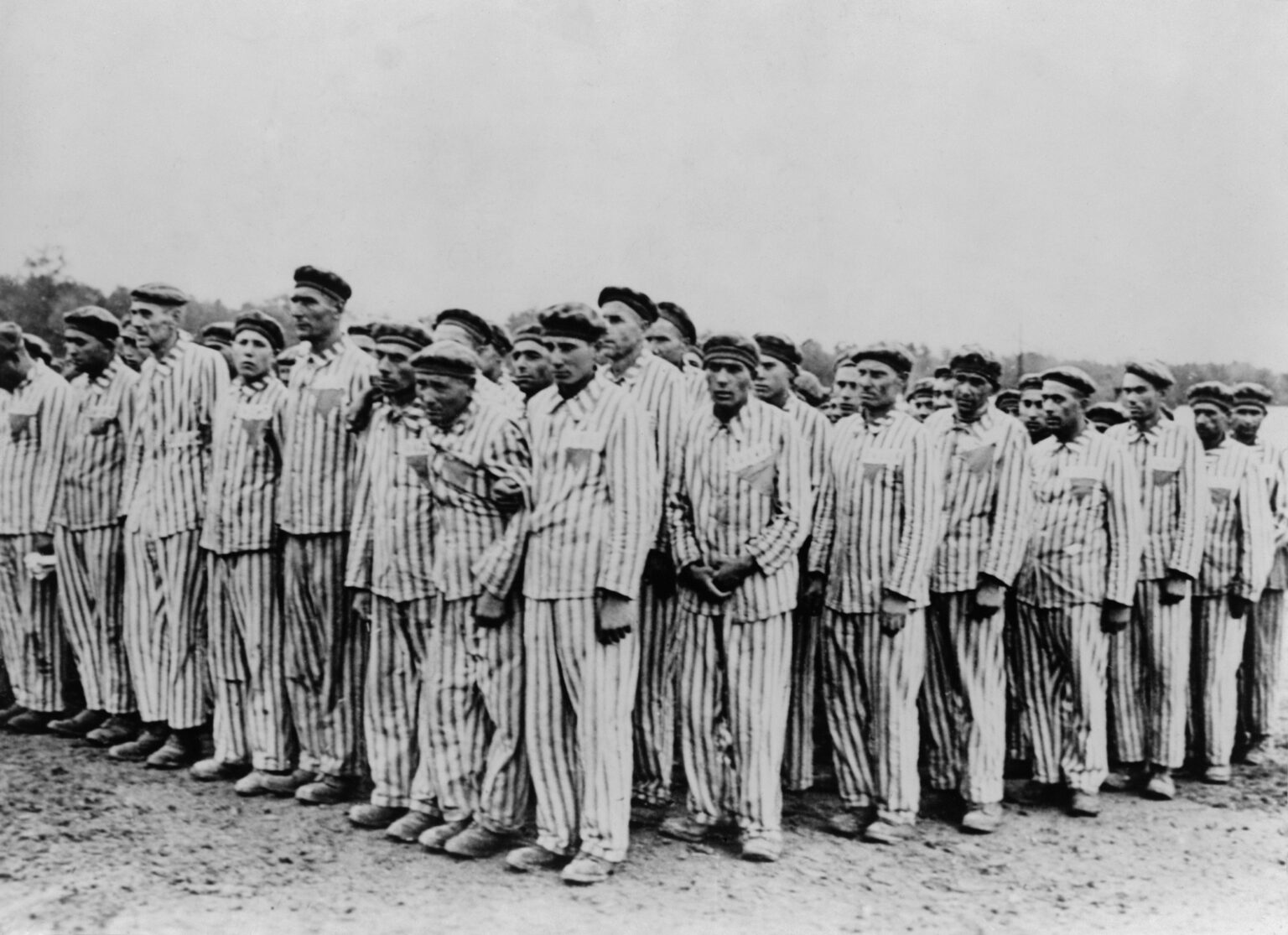 112 Holocaust Scholars Rebuke Lemkin Institute for Distorting Genocide ...