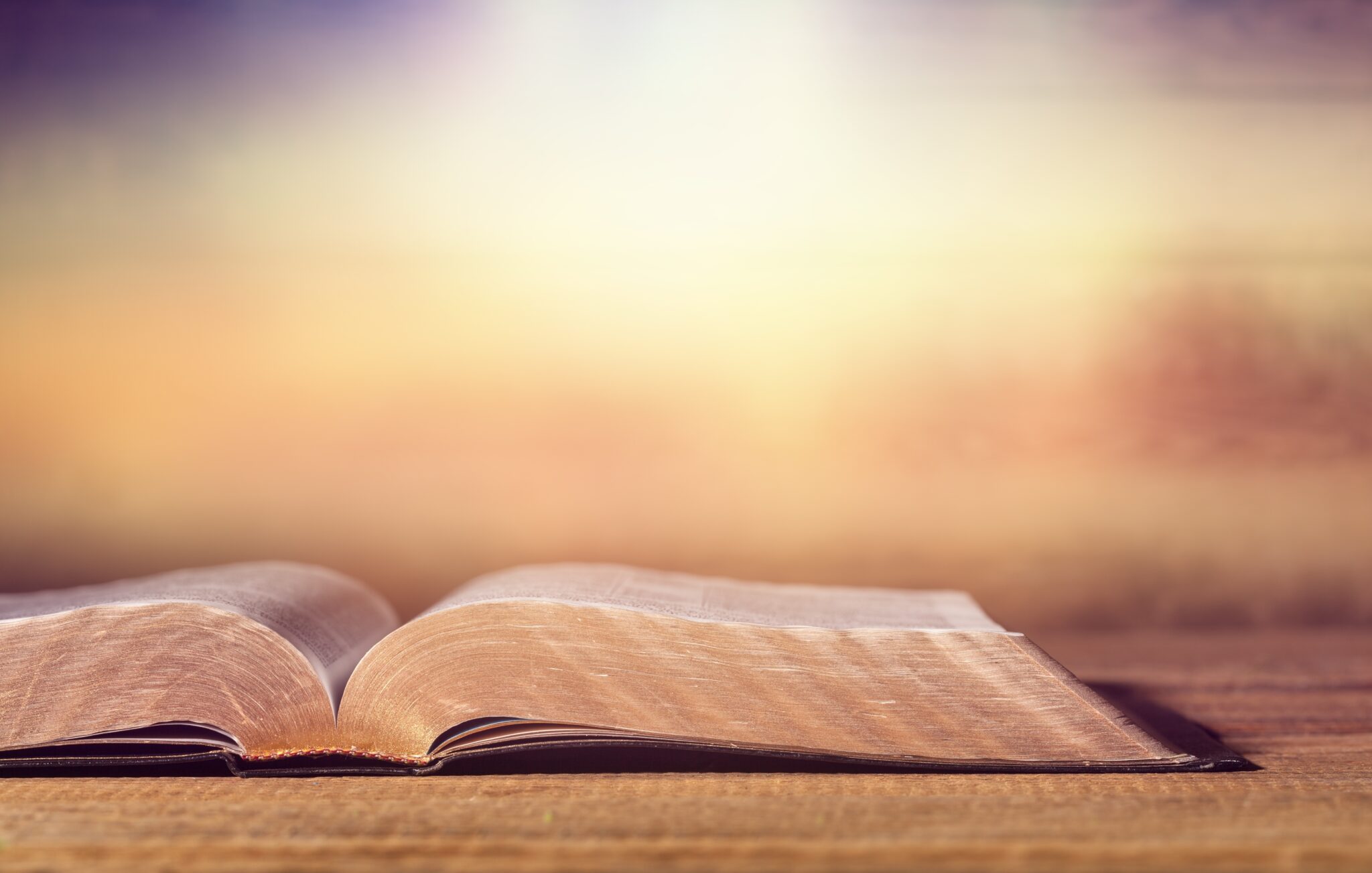 America is losing the Bible. Here's what we're doing about it ...